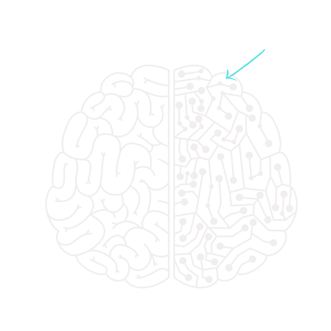 Spaced Revision - Enhance Memory Retention & Boost Exam Performance