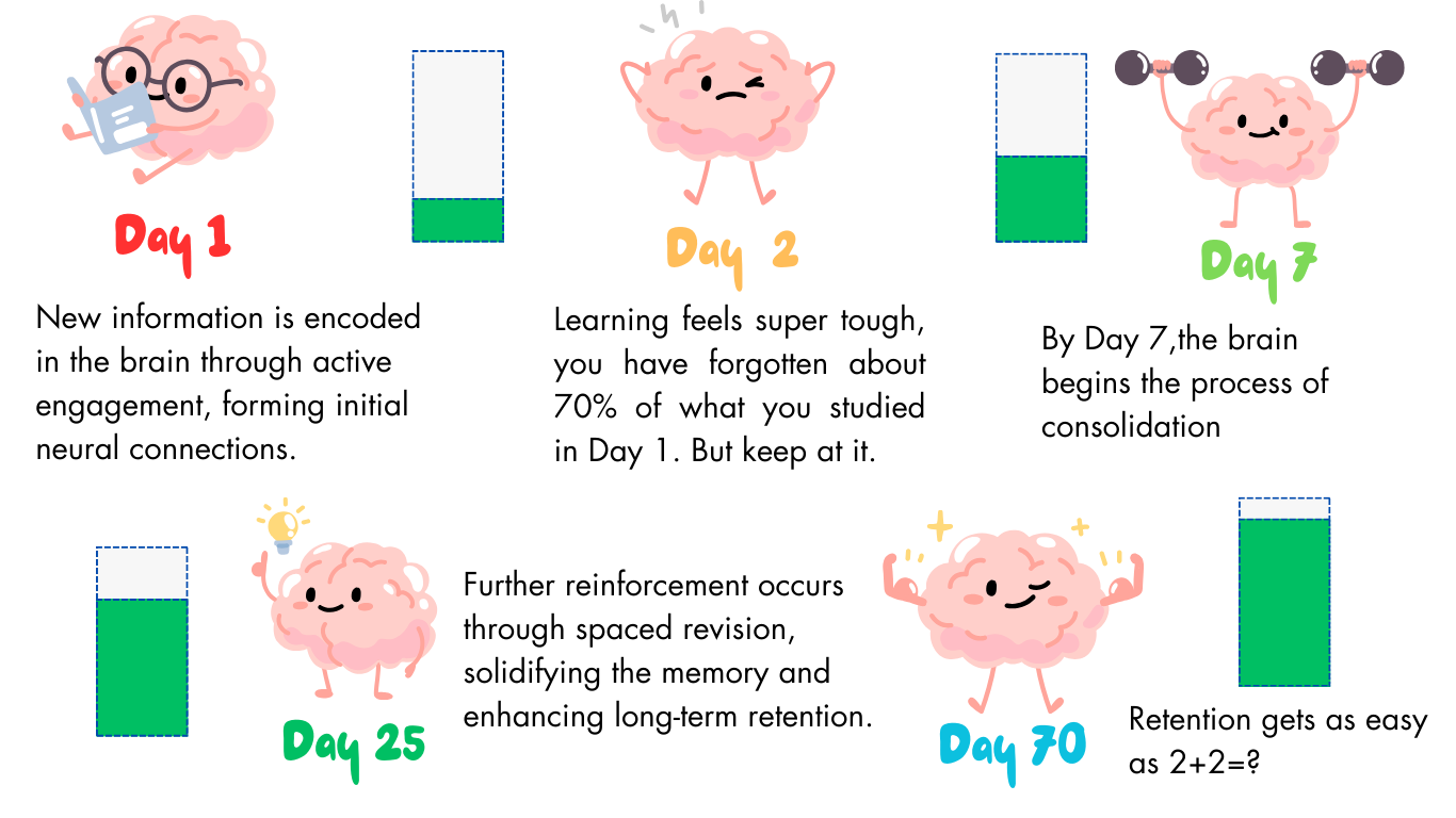 Spaced Revision - Enhance Memory Retention & Boost Exam Performance